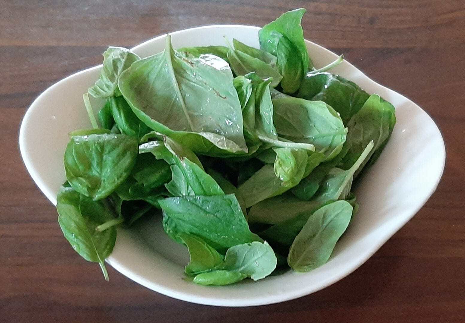 Comment congeler du basilic frais du jardin ? Voici la bonne méthode