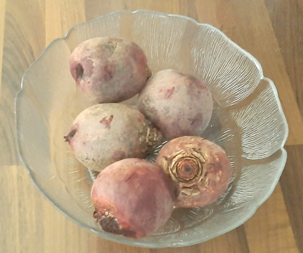 Cuisson betteraves rouges cocotte minute. Bonne recette en peu de temps