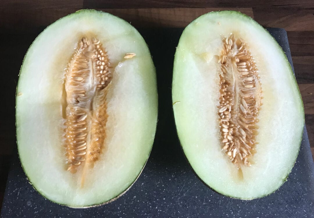 Melon vert d'Espagne. Une recette de smoothie vitaminé et peu calorique