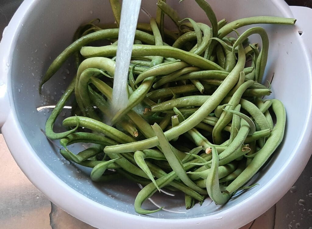 Cuisson haricots verts frais à la vapeur. Recette en peu de temps