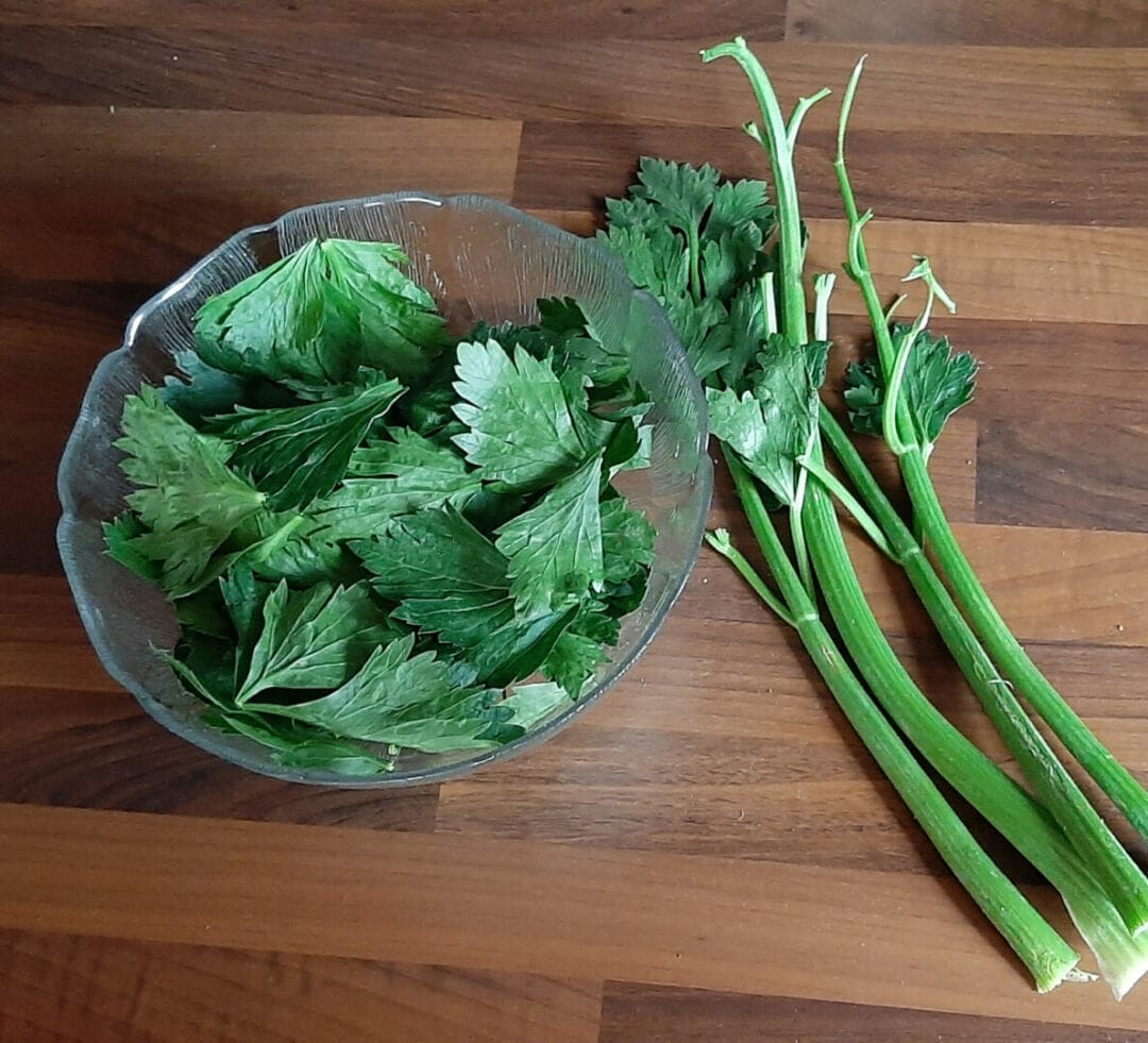 Pesto de feuilles de céleri-branche. Une recette économique