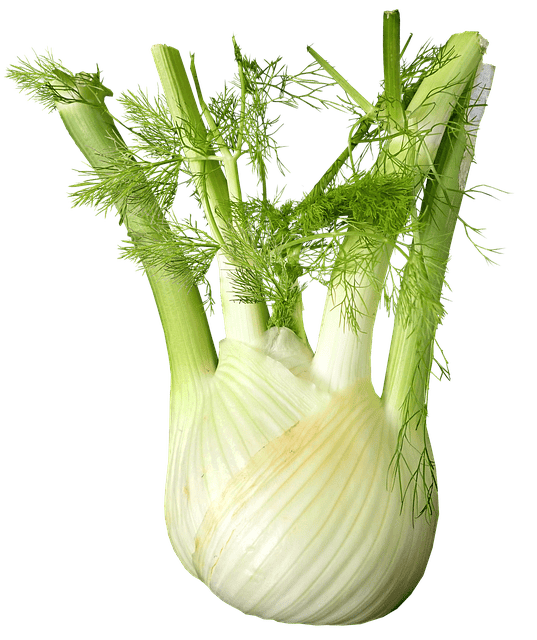 Cuisson fenouil vapeur. Recette cocotte minute en peu de temps