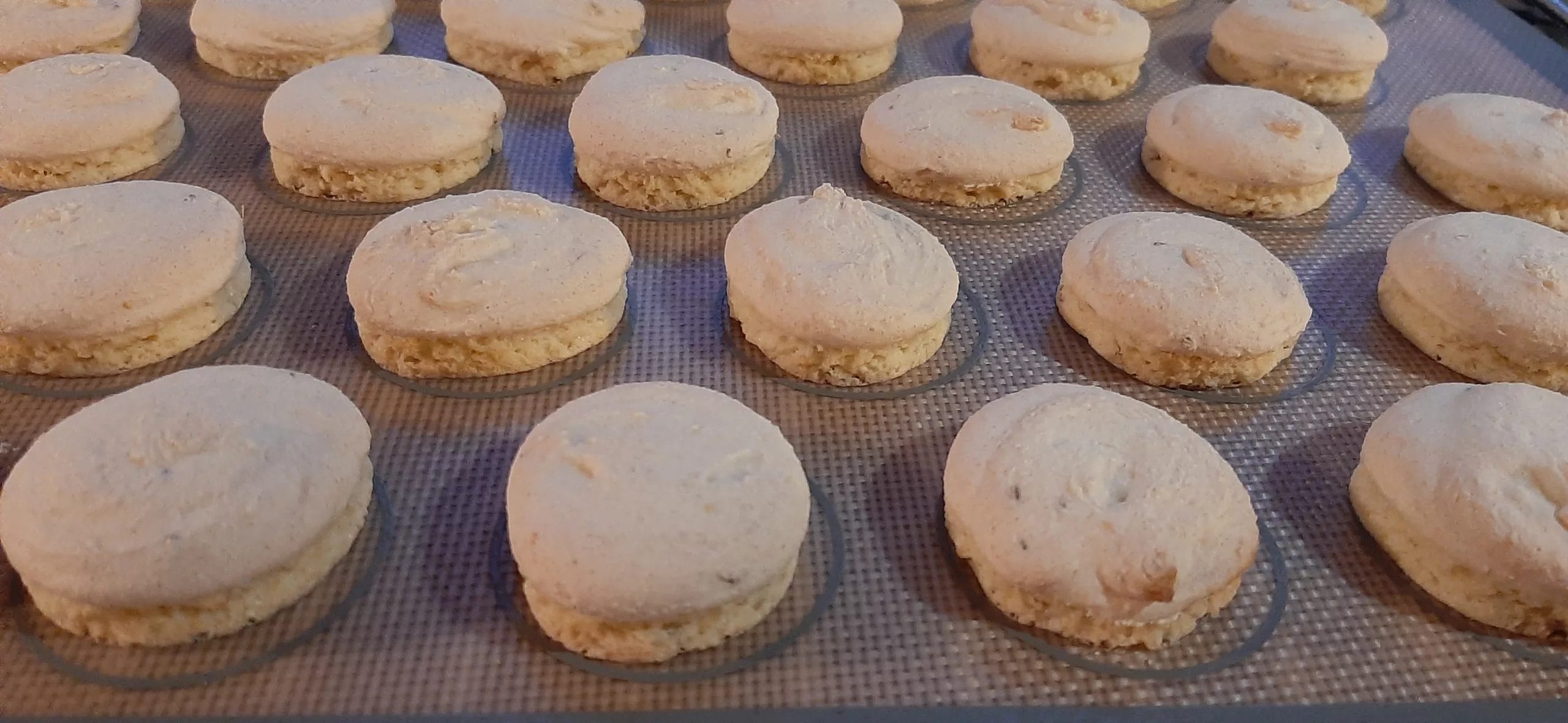 Anis bredele. Une recette alsacienne de petits biscuits pour Noël.