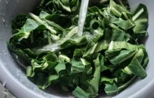 Cuisson des feuilles de blettes à la vapeur. Une recette rapide