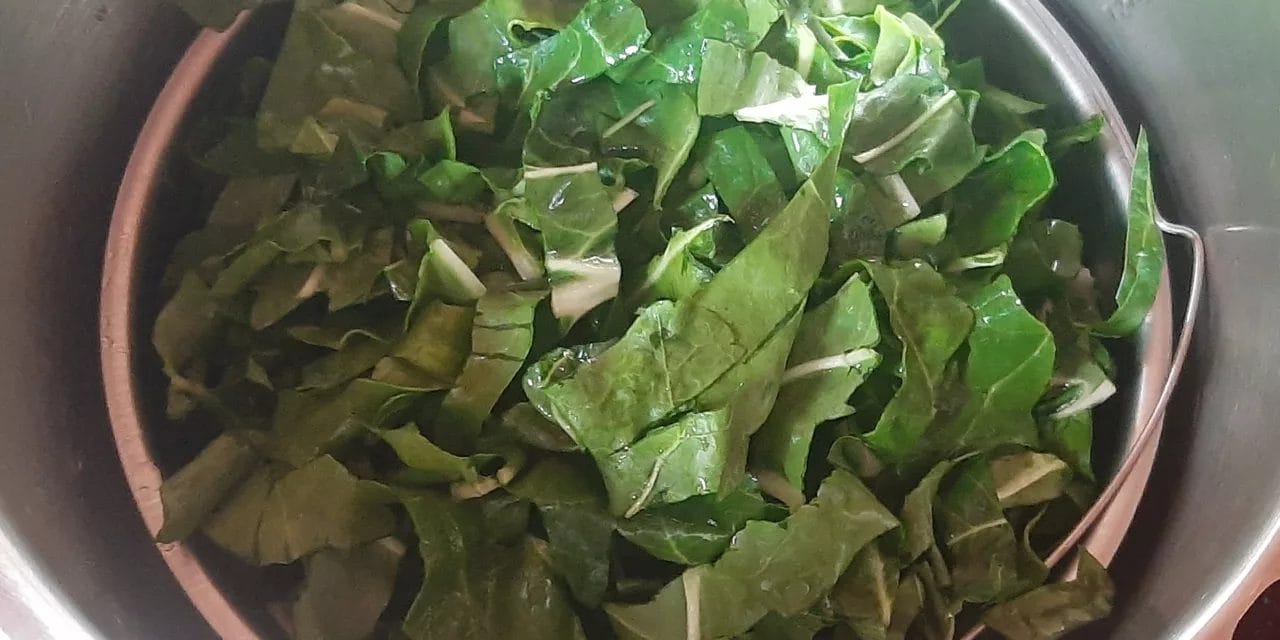 Cuisson des feuilles de blettes à la vapeur. Une recette rapide