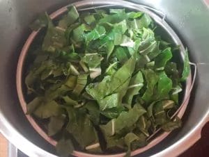 Cuisson des feuilles de blettes à la vapeur. Une recette rapide