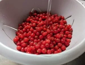 Comment préparer une délicieuse gelée de groseilles à l'ancienne?