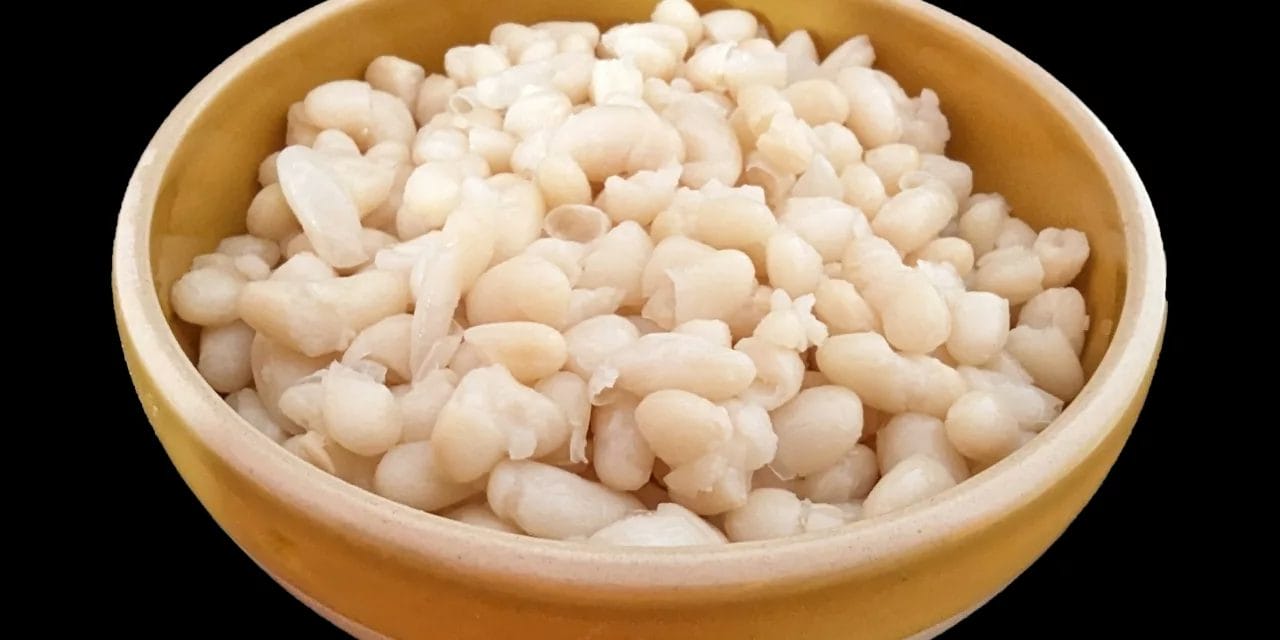 Haricots Blancs Secs : Comment les Cuire à la Perfection