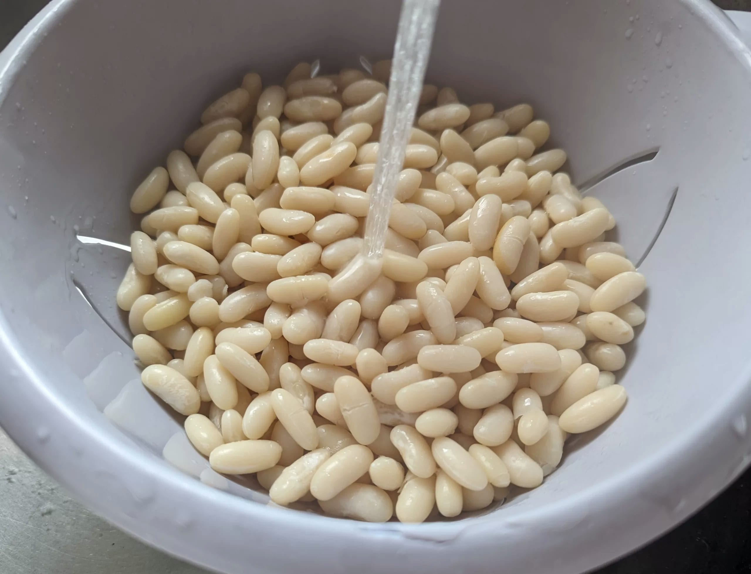 Haricots Blancs Secs : Comment les Cuire à la Perfection